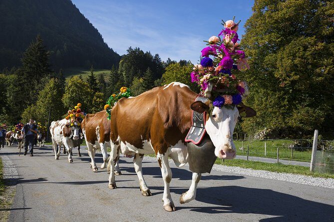 Berne the Capital and Cheese paradise Emmental (Private Tour) - Logistics and Practicalities