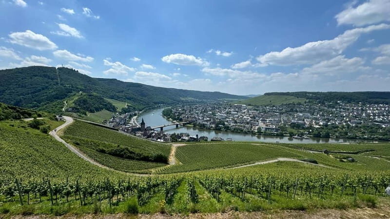 Bernkastel: 1-hour panoramic boat tour Lieser, Mülheim and back - Practical Details and Tips