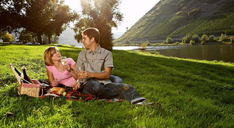 Bernkastel-Kues, Moselle: Bicycle picnic boat tour with wine tasting - A Practical Overview: What You’ll Experience
