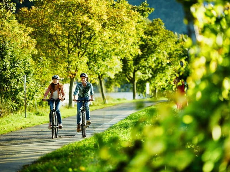 Bernkastel-Kues, Moselle: Bicycle picnic boat tour with wine tasting - The Itinerary in Detail