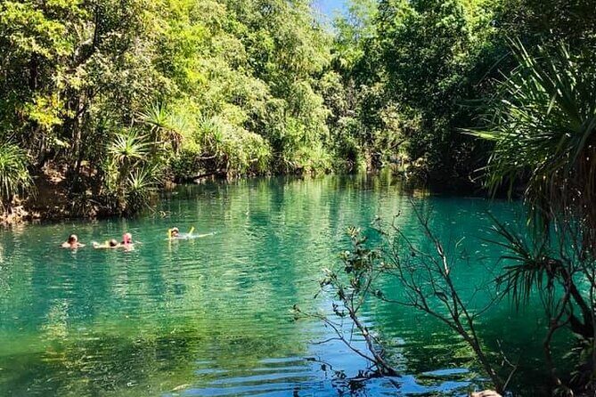 Berry Springs + Crocodile Cruise - Why This Tour Works Well for Different Travelers