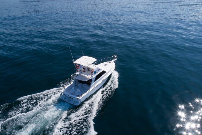 Bertram 38' Convertible Boat in Puerto & Nuevo Vallarta - Who Will Enjoy This Experience?