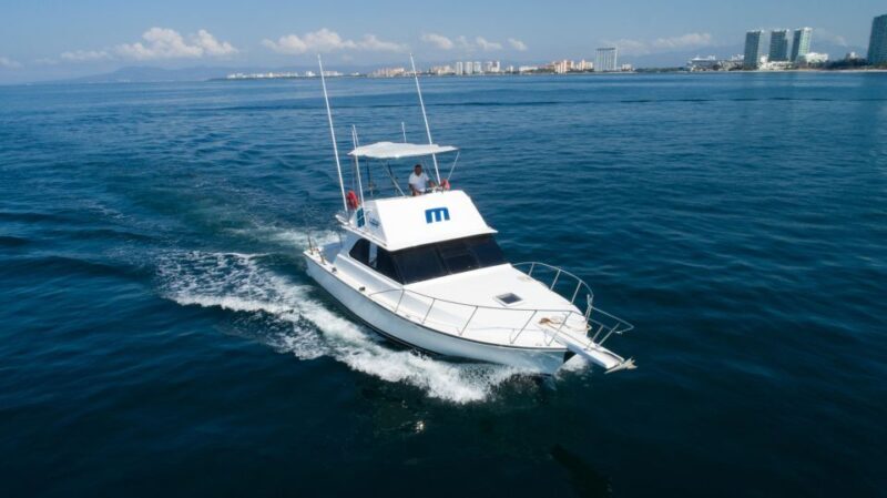 Bertram 38' Convertible Boat in Puerto & Nuevo Vallarta - Dive Deeper Into the Experience