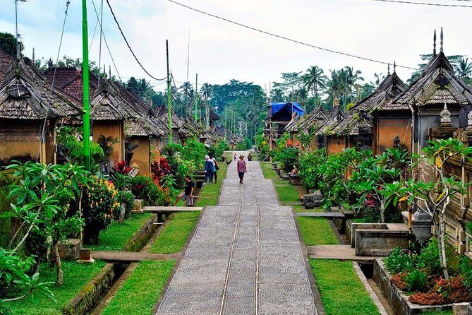 Besakih Temple Tour - Traditional Bali Village - All Inclusive - Who Will Benefit Most?