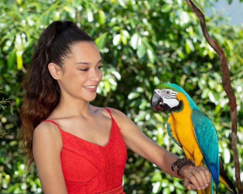 Bespoke Birdworld - An Intimate Experience! - Introducing the Bespoke Birdworld Experience