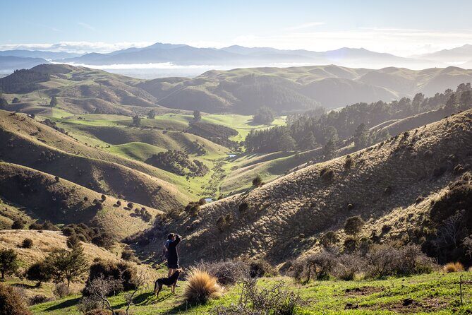Bespoke Guided High Country Hiking - Exploring the High Country: A Review of the Bespoke Guided High Country Hiking Tour