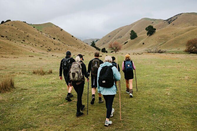 Bespoke Guided High Country Hiking - The Experience in Detail: What You Can Expect