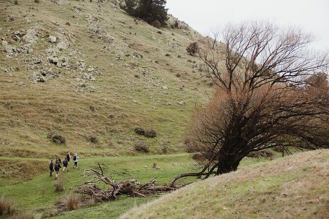 Bespoke Guided High Country Hiking - Ideal for Who?