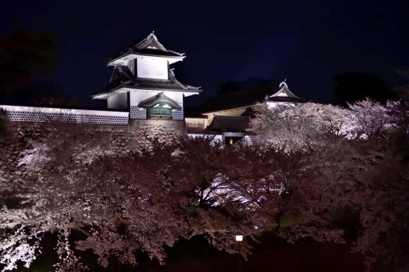 Bespoke Kanazawa Private Night Tour: Local Food & Secrets - Value and Practical Considerations