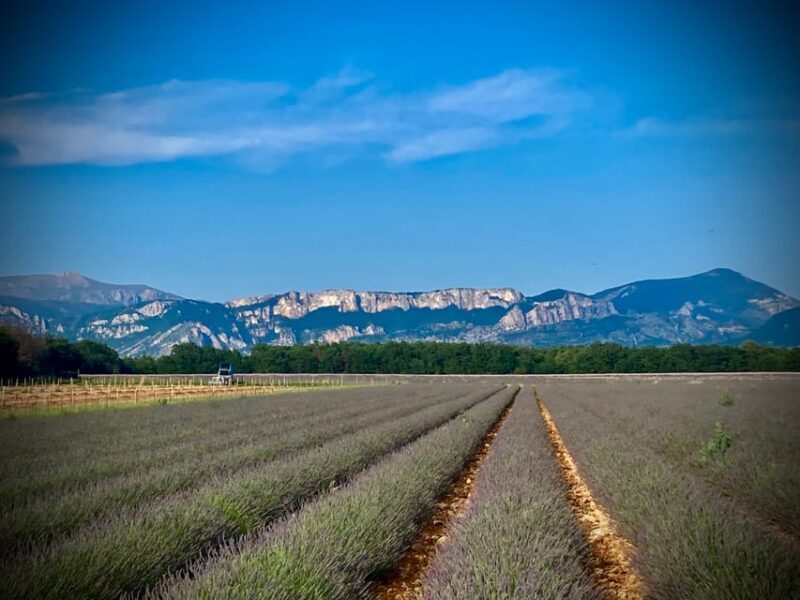 Bespoke Luxury Sightseeing Experiences - The Sum Up: Is This Tour Right for You?