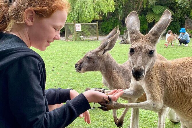 Bespoke Perth City and Surrounds Day Tour - Transportation and Comfort