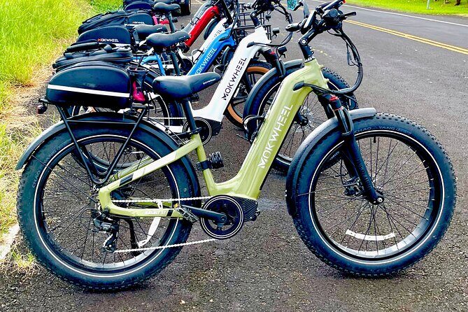 "Bespoke" Private E-Bike Tour Volcano and Waterfalls - Authentic Experiences and Highlights