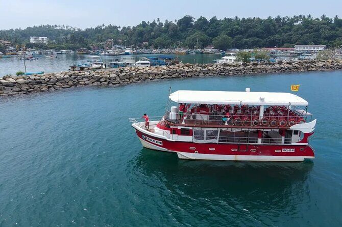 Bespoke Whale Watching Cruise to witness finned giants  Mirissa - Introduction and Overview