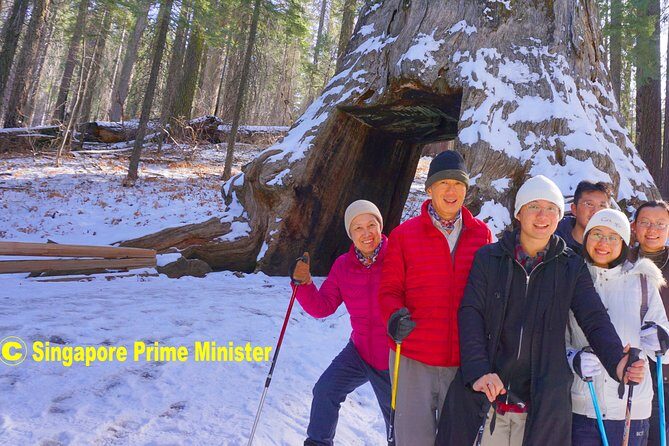 Best 1-Day Yosemite National Park Private Tour from San Francisco - Who Should Consider This Tour?