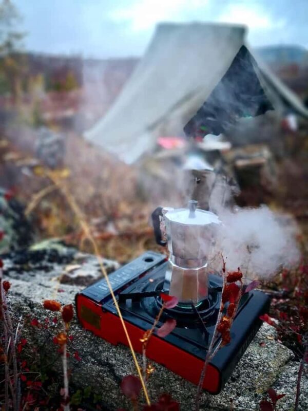 Best 4 Day Central Mongolia - Day 4: Hustai National Park and Return to Ulaanbaatar