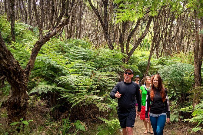 Best Abel Tasman Day trip - What’s Included and What’s Not