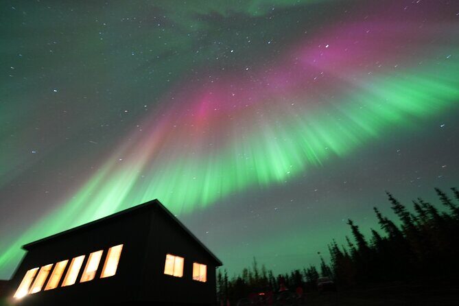 Best Alaskan Cabin Aurora Viewing with Photography @Aurora Camp - In-Depth Look at the Experience