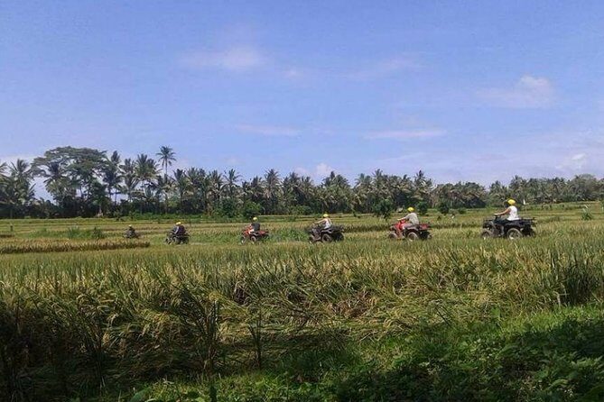 Best Bali ATV Ubud Tour Include Private Transport - A Complete Look at the Bali ATV Ubud Tour