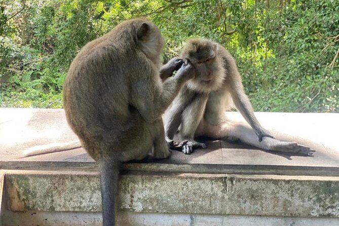 Best Bali Day Tour - Who Will Love This Tour?