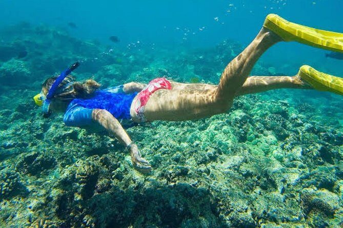 Best Bali Snorkeling At Blue Lagoon And Tanjung Jepun All-Inclusive - Exploring Bali’s Underwater World and Cultural Gems