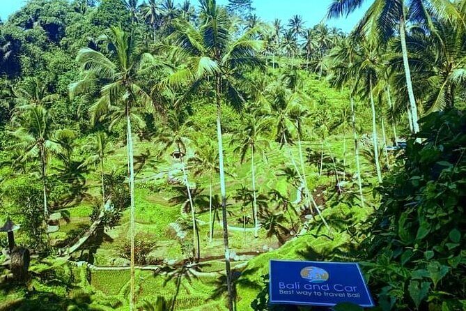 Best bali transport service - custom your own itinerary - Why Travelers Love This Service