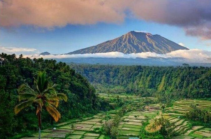 Best bali transport service - custom your own itinerary - Pricing and Value