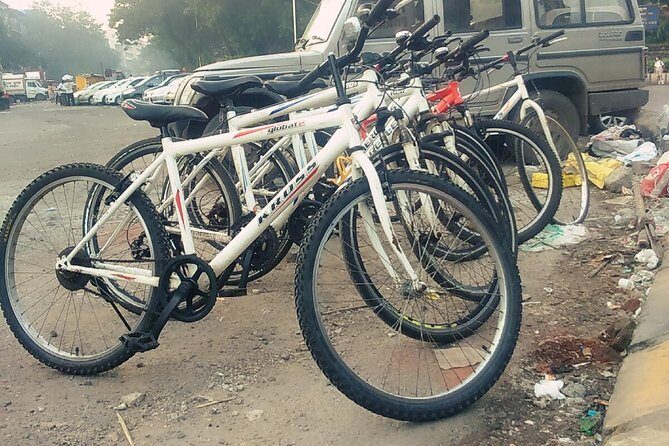 Best Bicycle Tour In Mumbai - The Sum Up