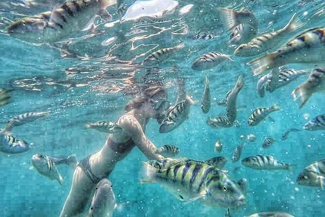 Best Blue Lagoon Snorkeling and Tegenungan Waterfall - FAQ — Practical Questions Answered