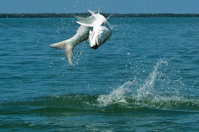 Best Calm Water Inshore Guided Fishing Charter Near You - FAQ