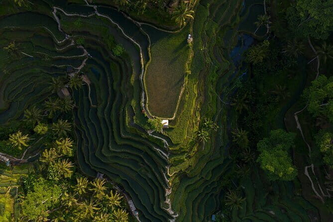Best Day Tour - #3 World Cleanest Traditional Village - Detailed Breakdown of Your Bali Day