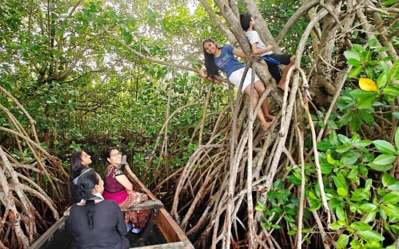 Best Day Tour from Trivandrum to Ashtamudi Lake Backwaters - Key Points