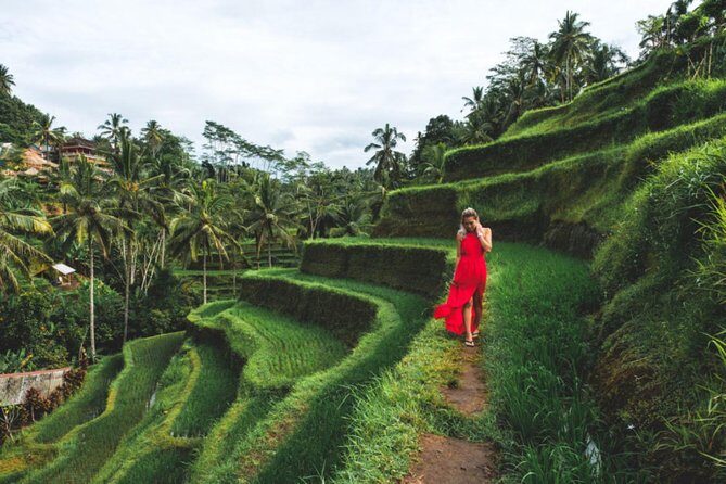 Best Day Trip in Bali - An In-Depth Look at What the Tour Offers