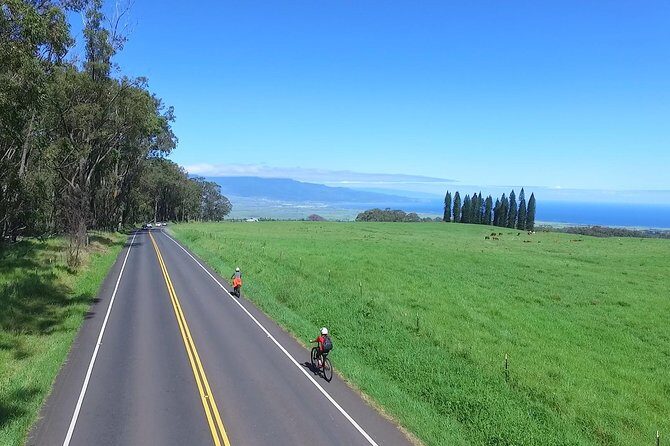 Best Haleakala Downhill Self-Guided Bike Tour with Maui Sunriders - The Experience: What to Expect