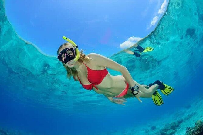 Best half-day snorkel tour: visit Kaan Luum, Yalku & Cenote - What to Bring and Practical Tips