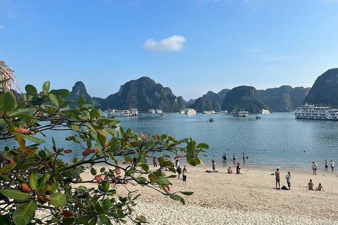 Best Halong 1 Day with Premium Cruise, Buffet Meal, Sunset Party - Who Will Love This Tour?