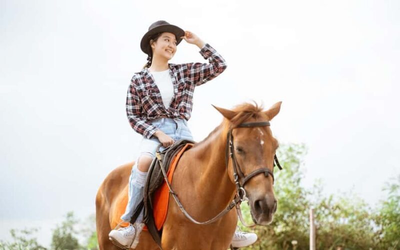 Best Horse Riding Safari Tour from Bangalore - Key Points