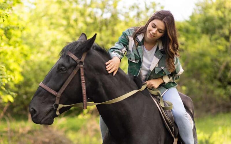 Best Horse Riding Safari Tour from Bangalore - Why This Tour Offers Good Value