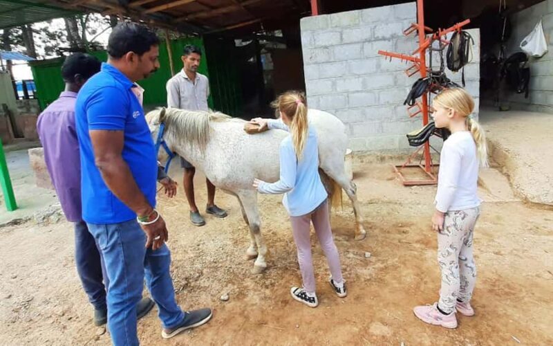 Best Horse Riding Safari Tour from Bangalore - Final Thoughts: Who Is This Tour Best For?