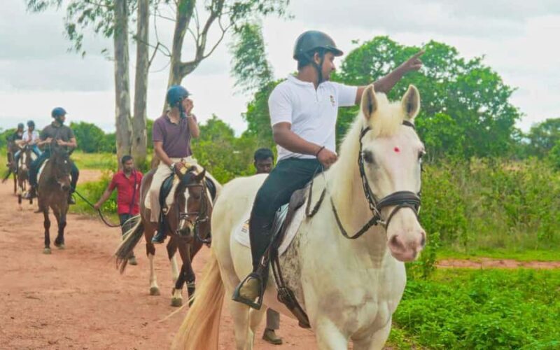 Best Horse Riding Safari Tour from Bangalore - FAQ