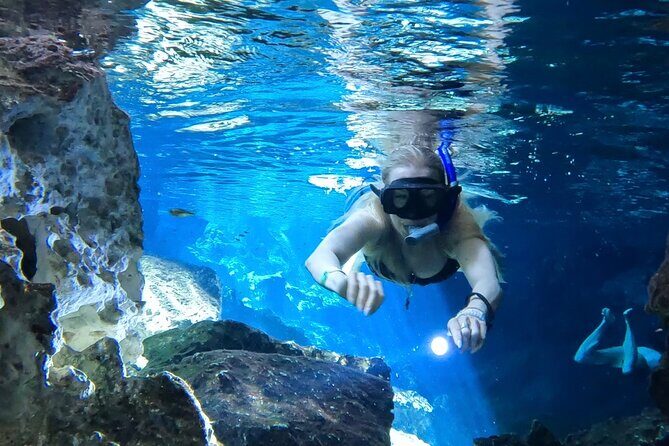 Best in Class: Private Snorkeling Xpedition - An In-Depth Look at the Itinerary