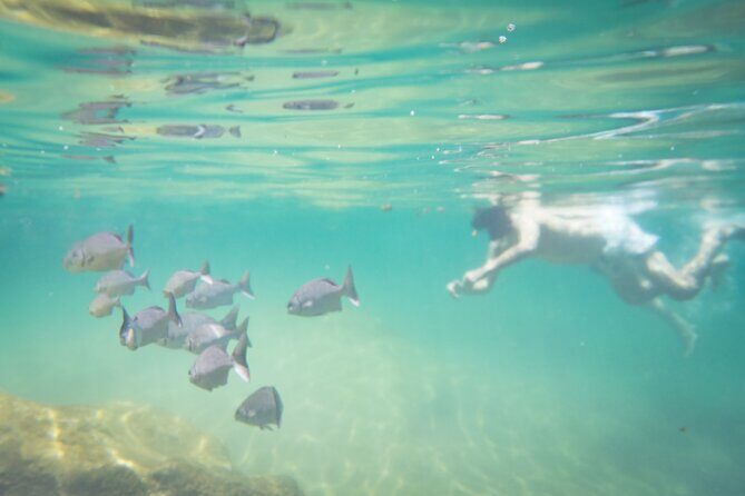 Best in Class: Private Snorkeling Xpedition - Who Is This Tour Best For?