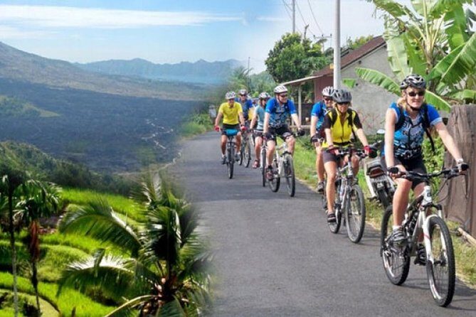 Best Kintamani - Ubud Bali Bicycle Tours - Exploring Bali on Two Wheels: A Review of the Best Kintamani - Ubud Bali Bicycle Tours