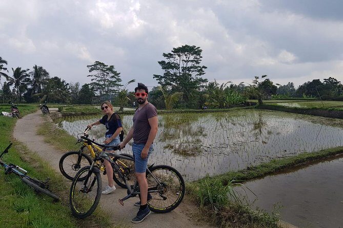 Best Kintamani - Ubud Bali Bicycle Tours - Key Points