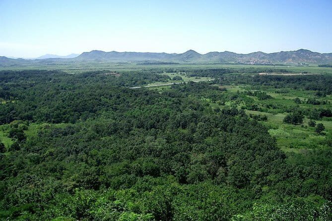 Best Korea DMZ Private Tour from Seoul (and Suspension Bridge) - Why Choose This DMZ Tour?