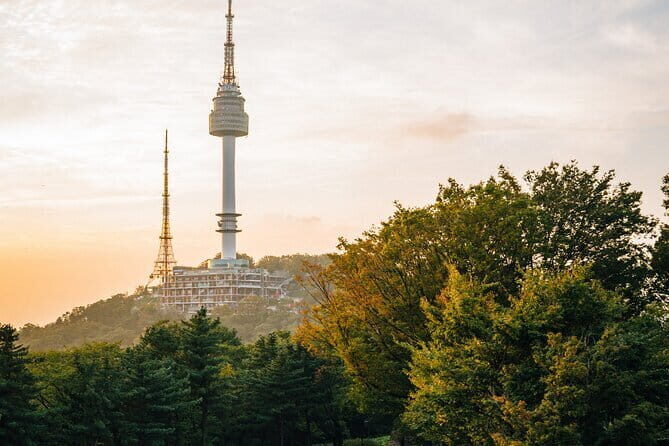 Best Korea DMZ Tour Year-Round - Who Should Consider This Tour?