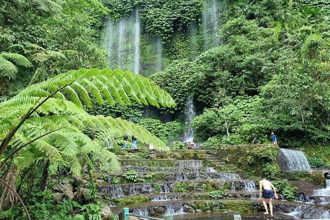 Best Lombok Monkey Forest with Benang Kelambu Waterfall - From logistics to scenic delights, what makes this tour stand out?