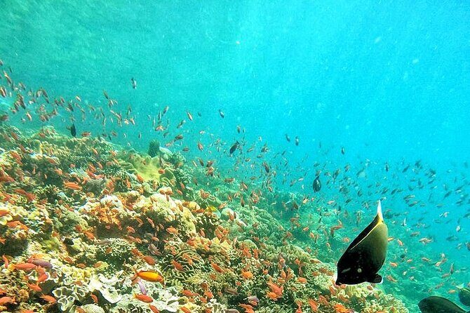 Best Of Bali 3 Days Bali Adventure Tour Package - Key Points