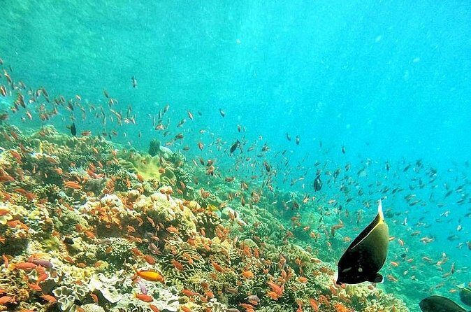 Best Of Bali 3 Days Bali Adventure Tour Package - What the Tour Includes and Excludes