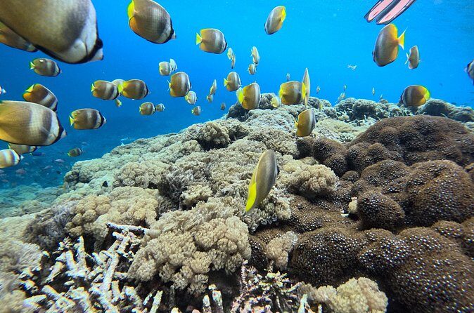 Best Of Bali 3 Days Bali Adventure Tour Package - Overall Value: How Does It Stack Up?