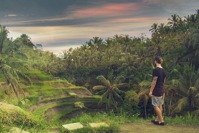 Best of Bali : Bali Temples , Rice Terrace and Waterfall Tour - Additional Cultural Stops: Village and Relief